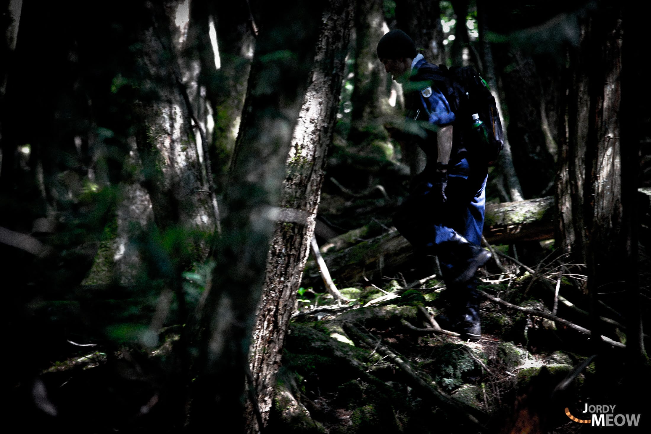 Japan’s Suicide Forest: Aokigahara | Offbeat Japan