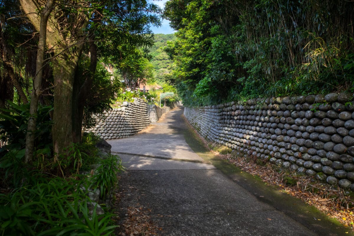Lush Forest Trail with Scenic Stone Retaining Wall | Offbeat Japan