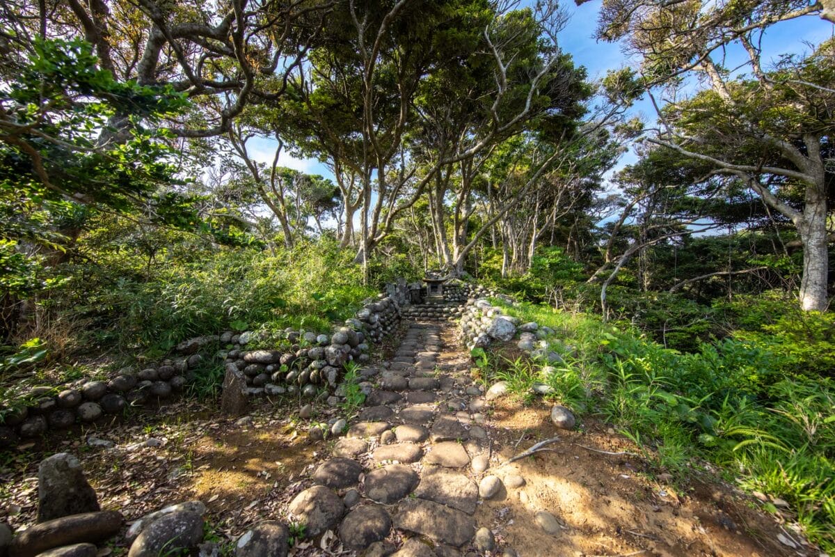 Serene Stone Path Through Lush Forest Canopy | Offbeat Japan