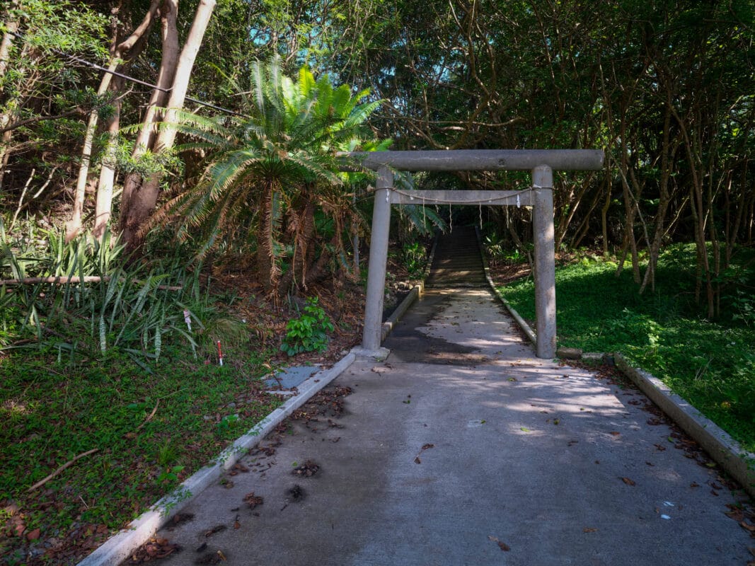 Tranquil Forest Path with Traditional Japanese Torii Gate | Offbeat Japan