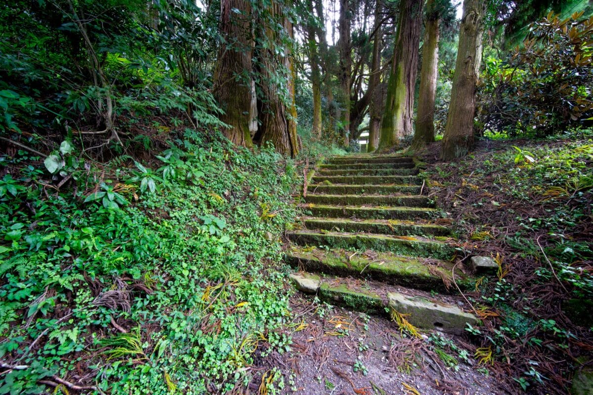Enchanted Forest Stone Steps to Magical Wonder | Offbeat Japan