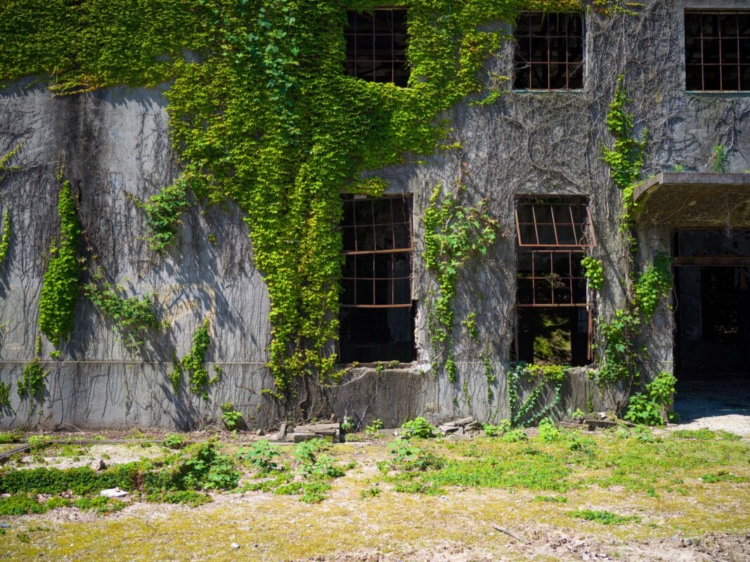 Natures Resilience: Abandoned Building Reclaimed by Greenery | Offbeat ...