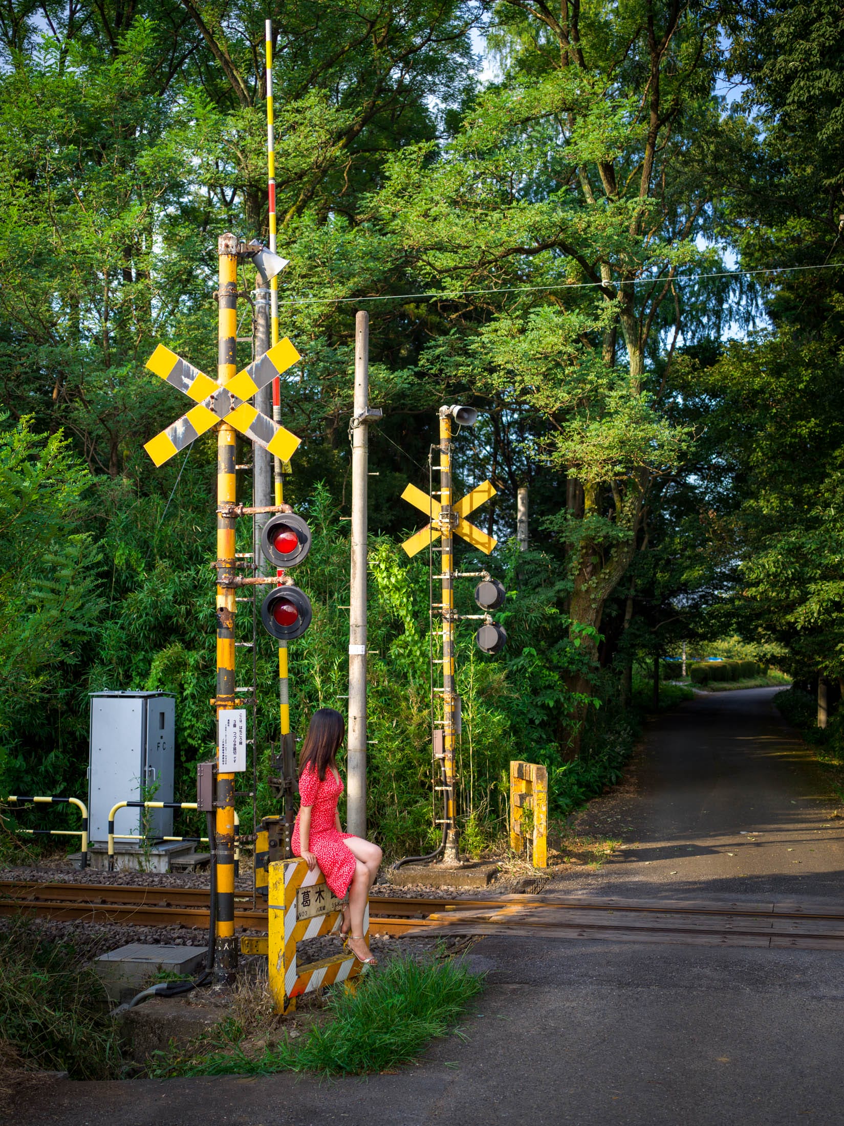 Rural Railroad Crossing in Lush Woodland Setting | Offbeat Japan