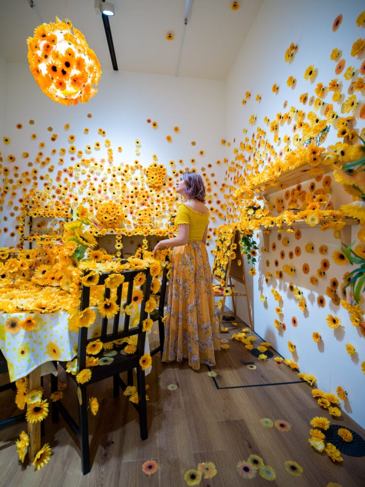 Immersive Nature-Inspired Art Experience by Yayoi Kusama | Offbeat Japan